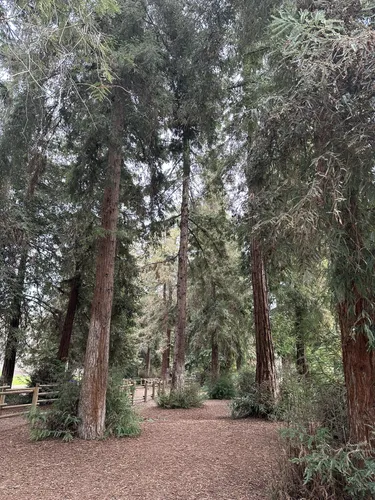 Best River Trails in Yorba Linda | AllTrails