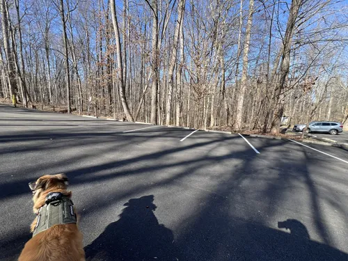 Best Hikes and Trails in L P Cosca Regional Park | AllTrails