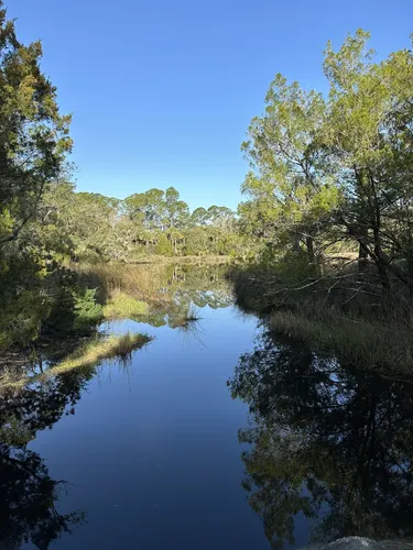 Best Hikes and Trails in Nocatee Preserve | AllTrails