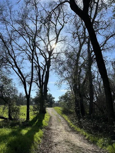 Best Hikes and Trails in Wallace | AllTrails