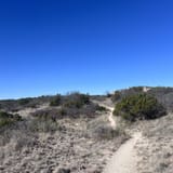 Haynes Ridge and Upper North Prong Trail Loop, Texas - 881 Reviews, Map ...