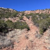 Haynes Ridge and Upper North Prong Trail Loop, Texas - 881 Reviews, Map ...
