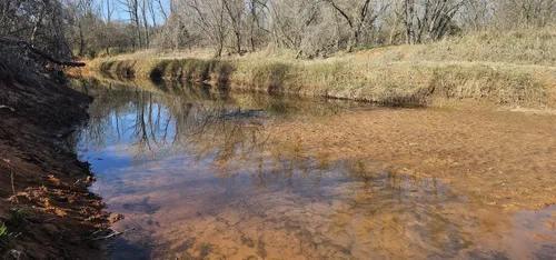 Best Hikes and Trails in Spring Creek Park | AllTrails