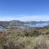 Tuolumne Table Mountain, California - 1,141 Reviews, Map | AllTrails