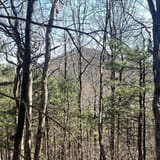 Duncan Ridge Trail to Blood Mountain, Georgia - 97 Reviews, Map | AllTrails