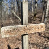 Duncan Ridge Trail to Blood Mountain, Georgia - 97 Reviews, Map | AllTrails