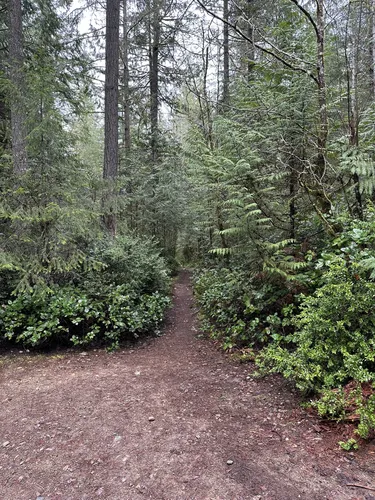Best Hikes and Trails in Banner Forest Heritage Park | AllTrails