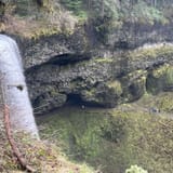 South Falls and Maple Ridge Loop, Oregon - 1,878 Reviews, Map | AllTrails