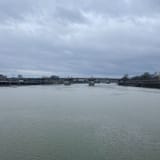 Portland River Loop Trail, Oregon - 690 Reviews, Map | AllTrails