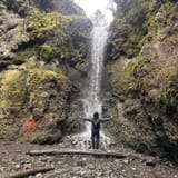 Trail 121: Waterfall Loop, Washington - 962 Reviews, Map | AllTrails