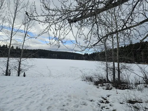 Best Hikes and Trails in Isobel Lake Recreation Site | AllTrails