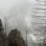 Natural Rock Arch Trail, Oregon - 219 Reviews, Map | AllTrails