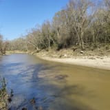 Comite Park Loop, Louisiana - 903 Reviews, Map | AllTrails