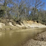 Comite Park Loop, Louisiana - 903 Reviews, Map | AllTrails