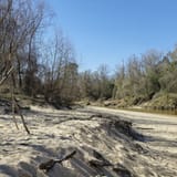 Comite Park Loop, Louisiana - 903 Reviews, Map | AllTrails