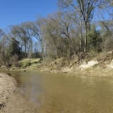 Comite Park Loop, Louisiana - 903 Reviews, Map | AllTrails