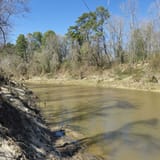 Comite Park Loop, Louisiana - 903 Reviews, Map | AllTrails