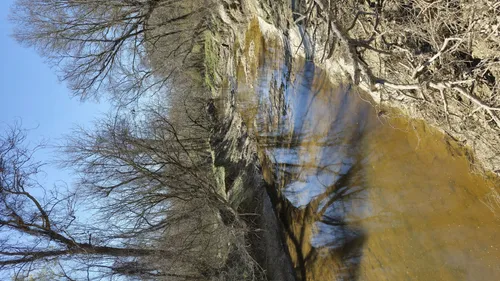 Best Hikes and Trails in Comite River Park | AllTrails
