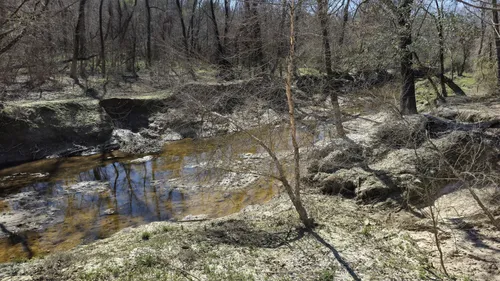 Best Hikes and Trails in Comite River Park | AllTrails