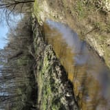 Comite Park Loop, Louisiana - 903 Reviews, Map | AllTrails
