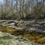 Comite Park Loop, Louisiana - 903 Reviews, Map | AllTrails