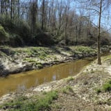 Comite Park Loop, Louisiana - 903 Reviews, Map | AllTrails