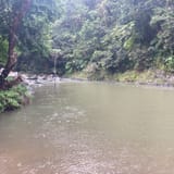 Angelito Trail, East Region, Puerto Rico - 567 Reviews, Map | AllTrails