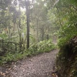Angelito Trail, East Region, Puerto Rico - 571 Reviews, Map | AllTrails