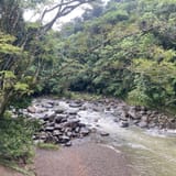 Angelito Trail, East Region, Puerto Rico - 656 Reviews, Map | AllTrails