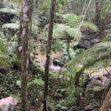 Angelito Trail, East Region, Puerto Rico - 571 Reviews, Map | AllTrails