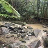 Angelito Trail, East Region, Puerto Rico - 567 Reviews, Map | AllTrails
