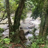 Angelito Trail, East Region, Puerto Rico - 656 Reviews, Map | AllTrails