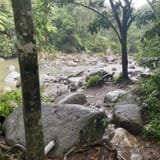 Angelito Trail, East Region, Puerto Rico - 567 Reviews, Map | AllTrails