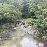 Angelito Trail, East Region, Puerto Rico - 656 Reviews, Map | AllTrails