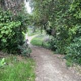 Puddingstone Reservoir Lake View and Park Trail Loop, California - 610 ...