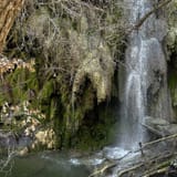 Gorman Falls Trail, Texas - 1,093 Reviews, Map | AllTrails