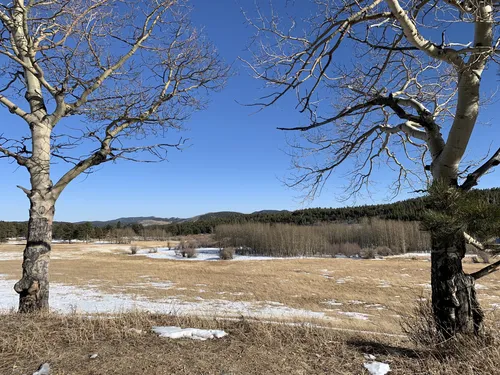 Best Hikes and Trails in Caribou Ranch Open Space | AllTrails