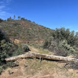 Lake Tabeaud Loop, California - 964 Reviews, Map | AllTrails