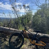 Lake Tabeaud Loop, California - 964 Reviews, Map | AllTrails