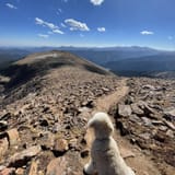 Mount Flora Trail, Colorado - 3,781 Reviews, Map | AllTrails