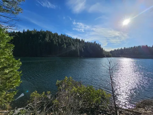 Best Hikes and Trails in Cedar Ridge | AllTrails