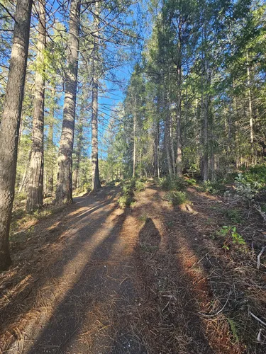 Best Hikes and Trails in Cedar Ridge | AllTrails