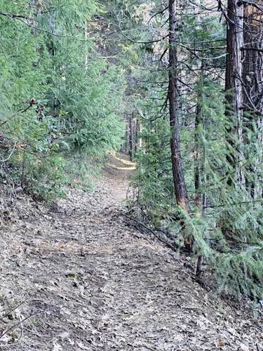 Best Hikes and Trails in Cedar Ridge | AllTrails