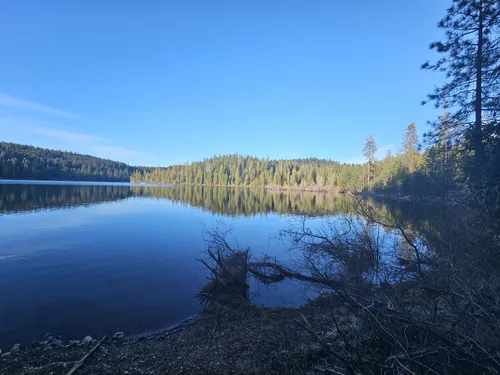 Best Hikes and Trails in Cedar Ridge | AllTrails