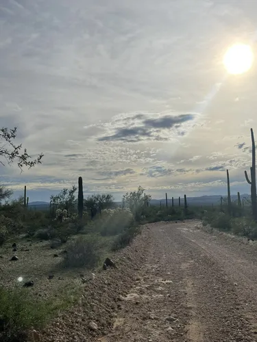 Best Hikes and Trails in Table Top Wilderness | AllTrails