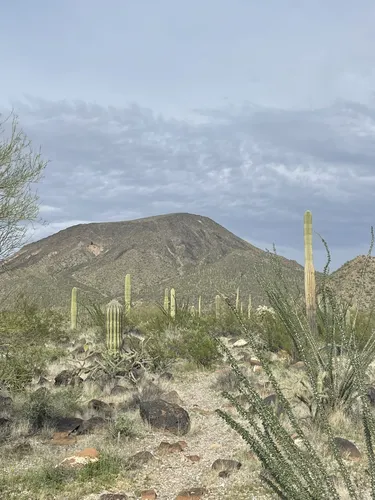 Best Hikes and Trails in Table Top Wilderness | AllTrails