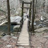 Edward's Point Trail, Tennessee - 2,485 Reviews, Map | AllTrails