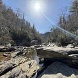 Spence Ridge Trail, North Carolina - 321 Reviews, Map | AllTrails