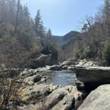 Spence Ridge Trail, North Carolina - 278 Reviews, Map | AllTrails