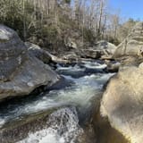 Spence Ridge Trail, North Carolina - 321 Reviews, Map | AllTrails